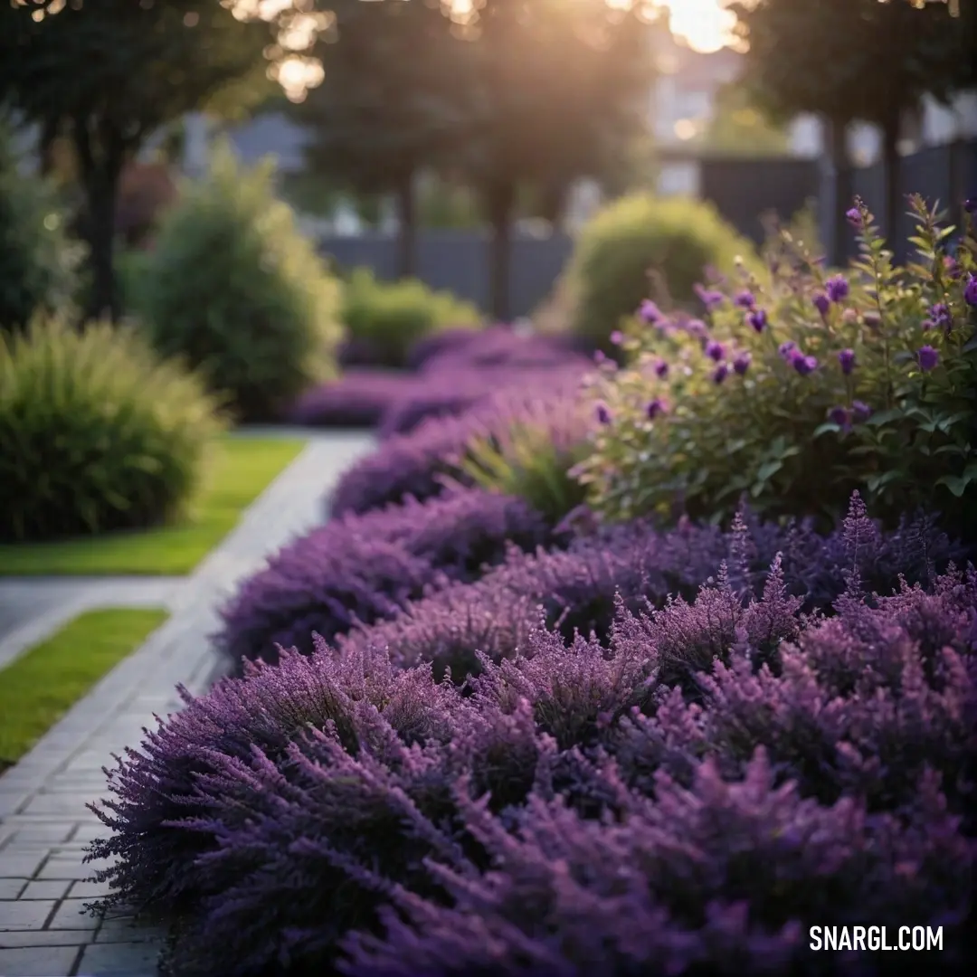 Arsenic Elements | Snargl